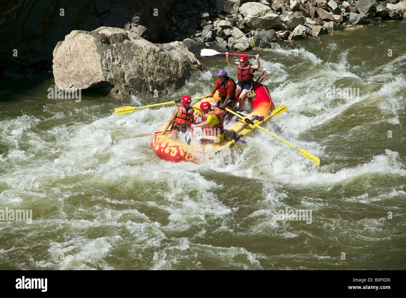 Nepalese river guide rowing a commercial raft through the Royal Gorge ...
