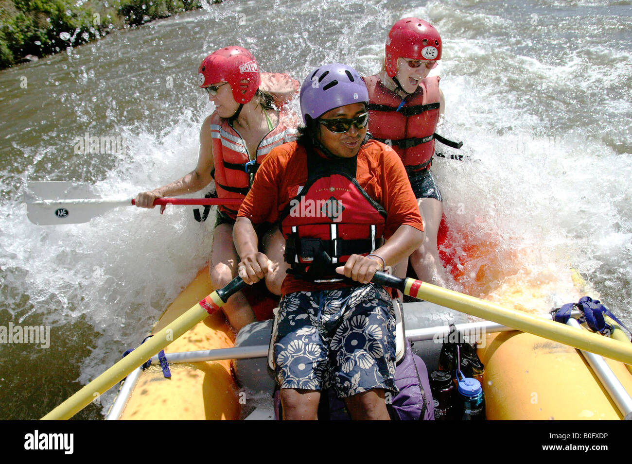 Nepalese river guide rowing a commercial raft through the Royal Gorge ...