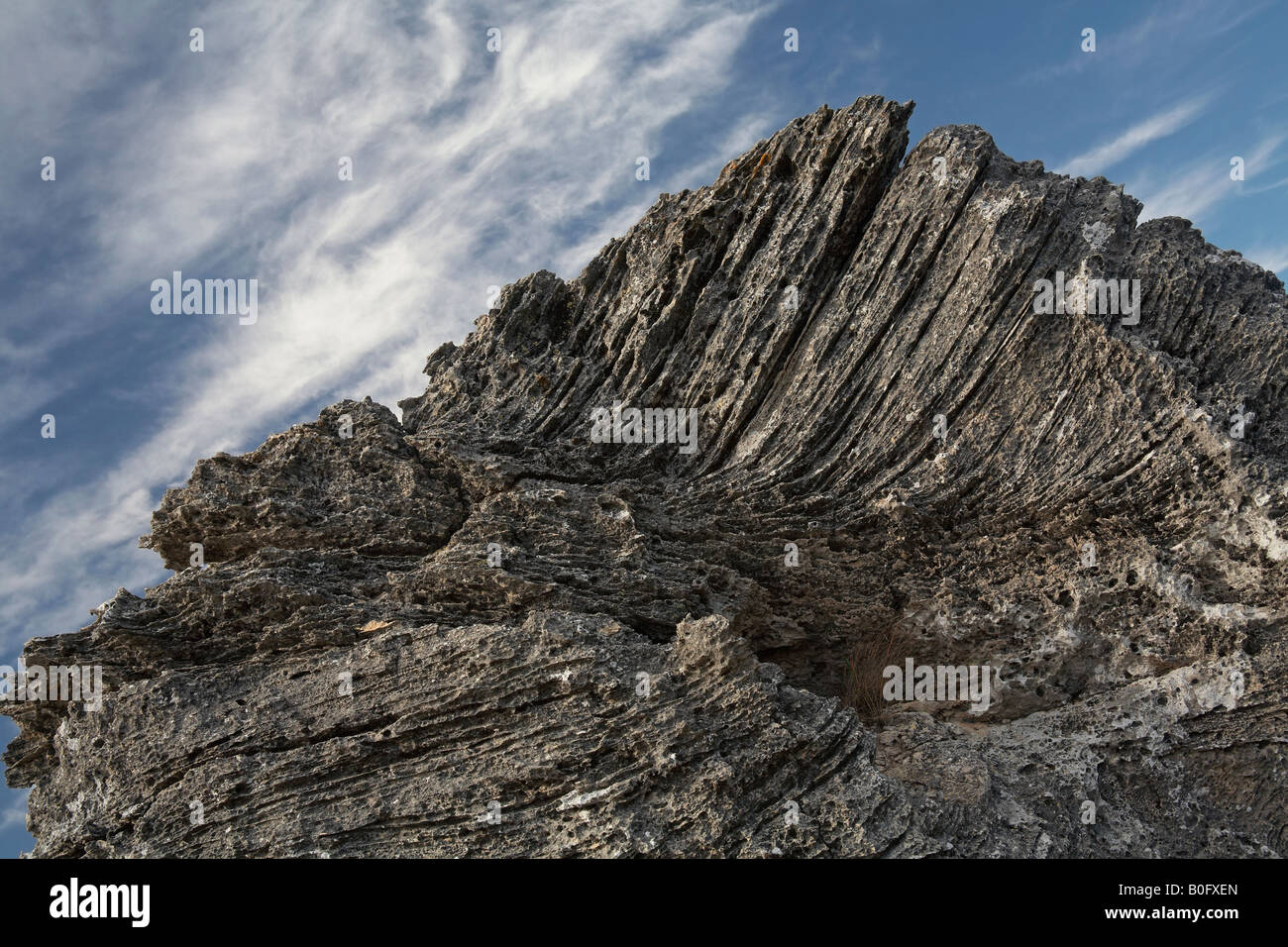well formed strata layers in limestone rock Stock Photo - Alamy