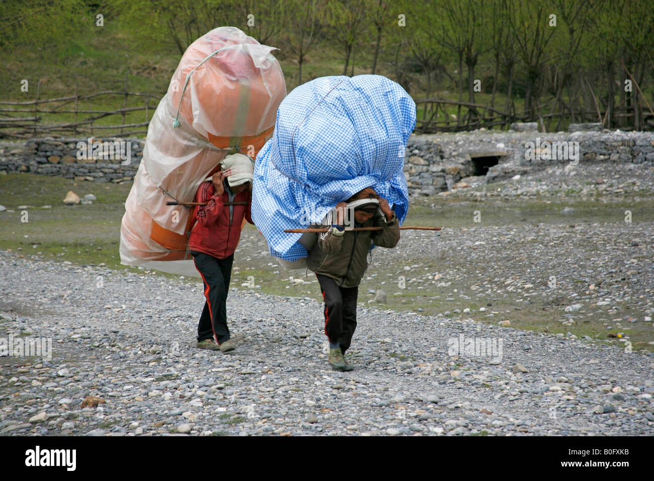 porters carrying heavy loads on their back annapurna nepal Stock Photo ...