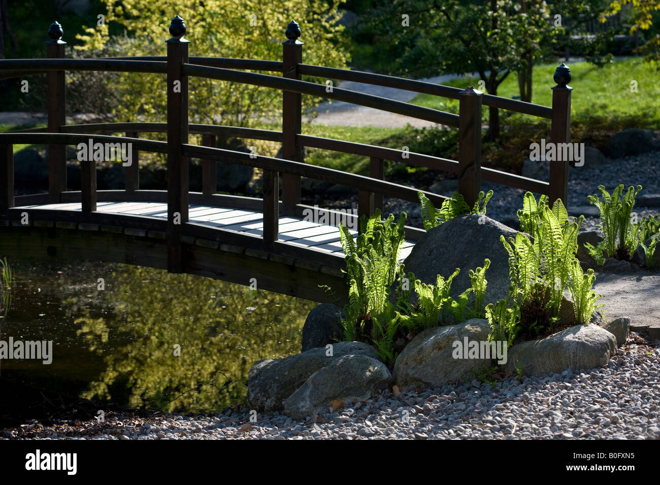 Wooden bridge in botanical garden hi-res stock photography and images ...