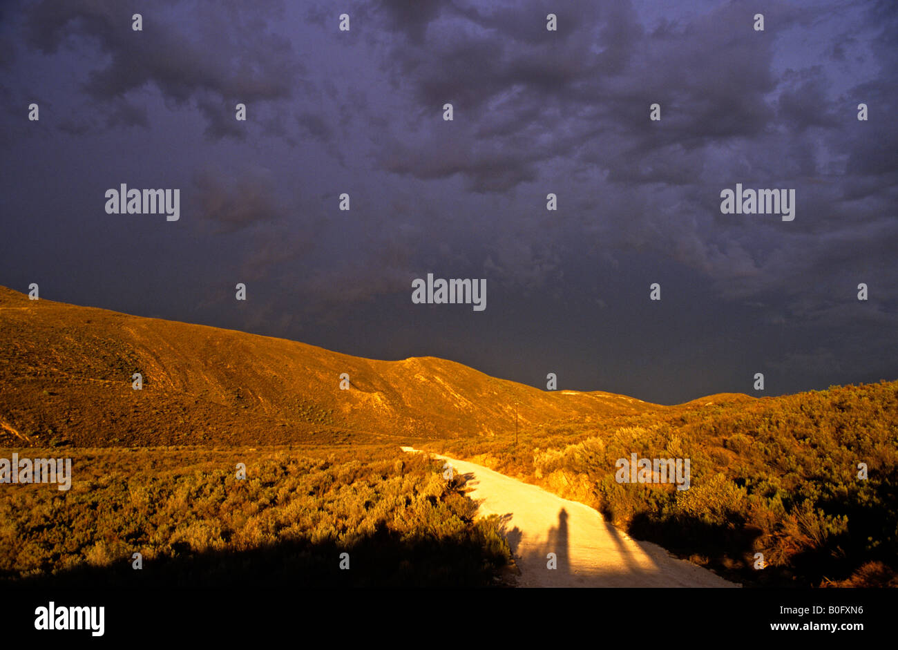 The Little or Klein Karoo. South Africa Stock Photo - Alamy