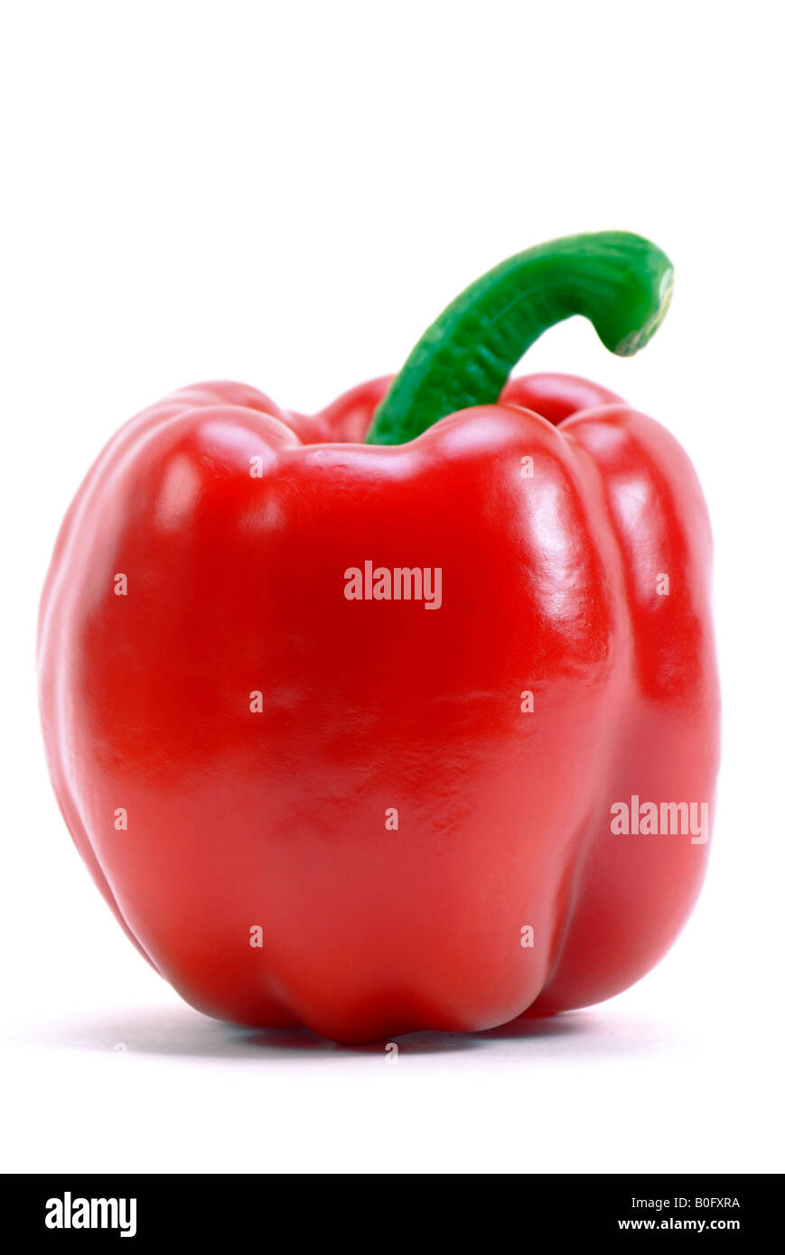 Red Bell pepper Stock Photo - Alamy