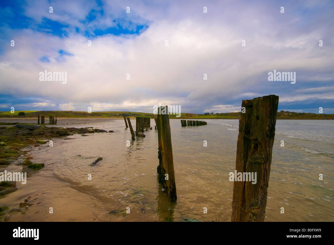 wooden breakwaters at Coolmain Beach Co Cork Ireland Stock Photo - Alamy