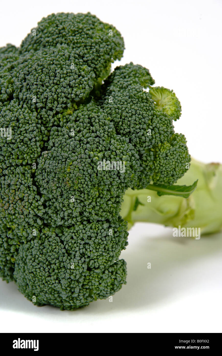 Broccoli background Cut Out Stock Images & Pictures - Alamy