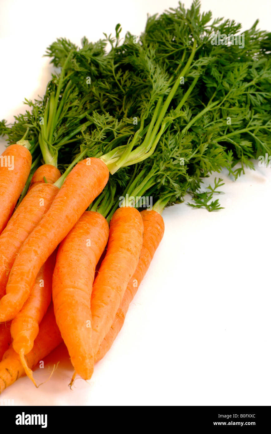 Bunch of raw carrotts on white backgroung Stock Photo - Alamy