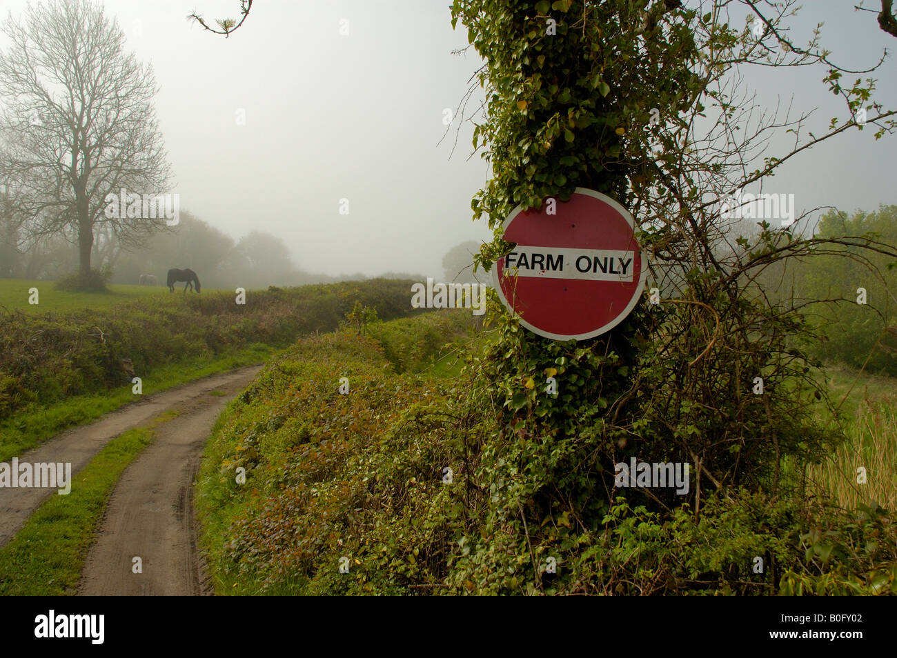 Sign saying Farm Only on lane near Red Wharf Bay Anglesey North Wales ...