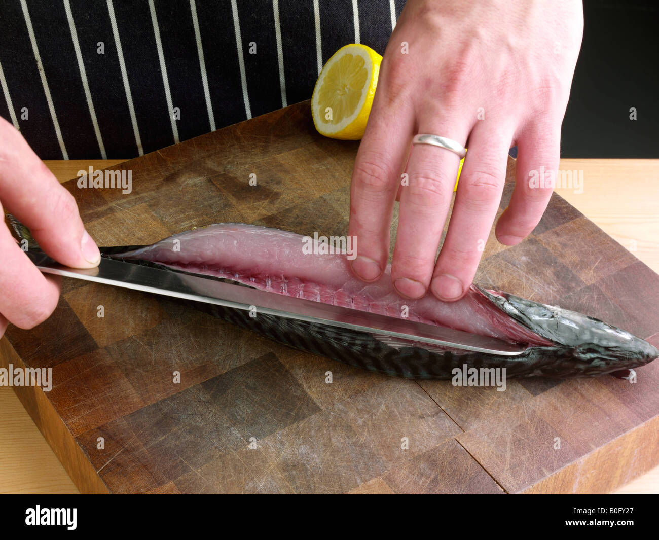Mackerel fish filleting hi-res stock photography and images - Alamy