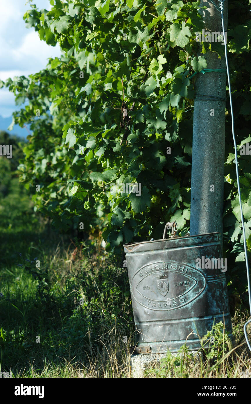 Insecticide near vineyard - Ara di Tricesimo Grave Friuli North Italy ...