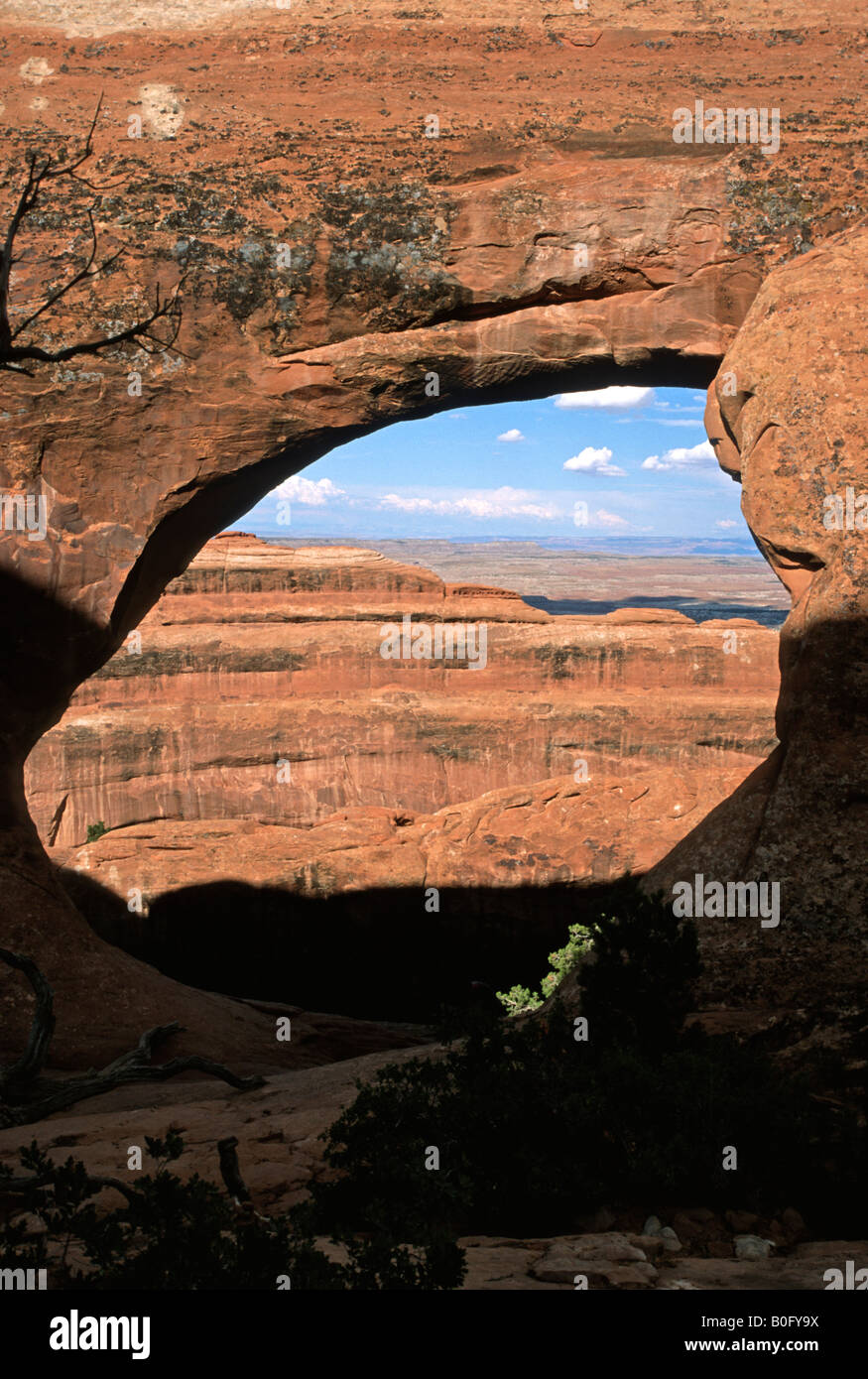 South Window Arch Stock Photo - Alamy
