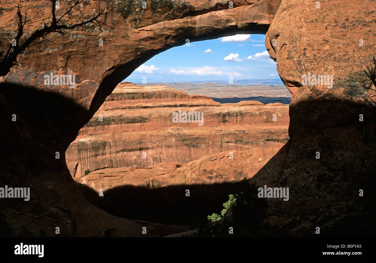 South Window Arch Stock Photo - Alamy
