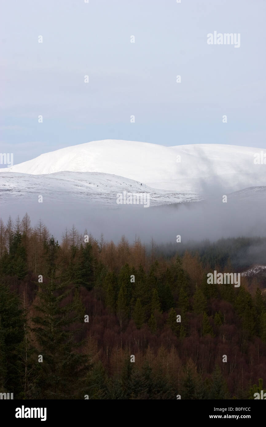 Wyvis forest hi-res stock photography and images - Alamy