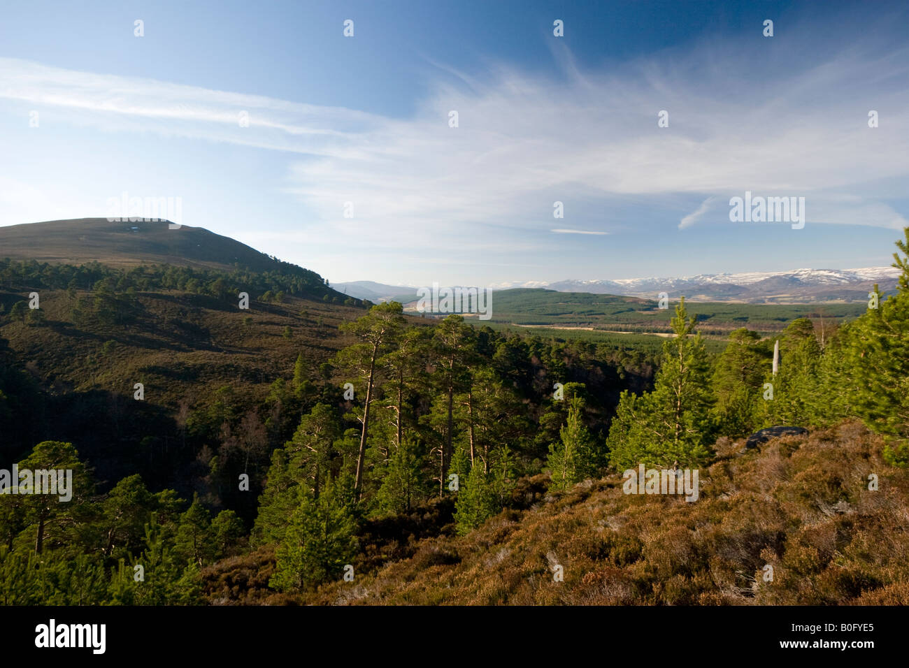 Invereshie hi-res stock photography and images - Alamy