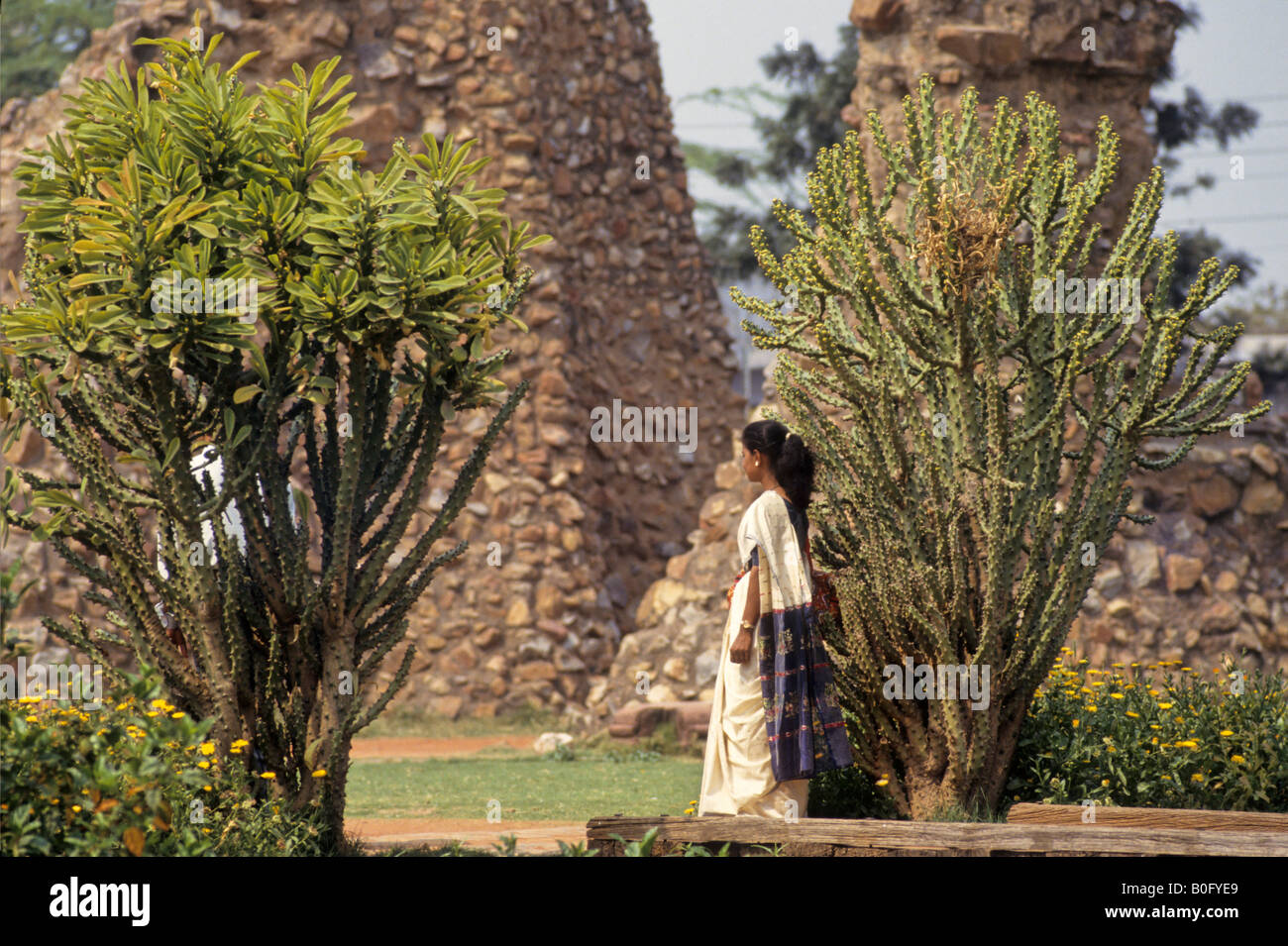Delhi sultanate hi-res stock photography and images - Alamy