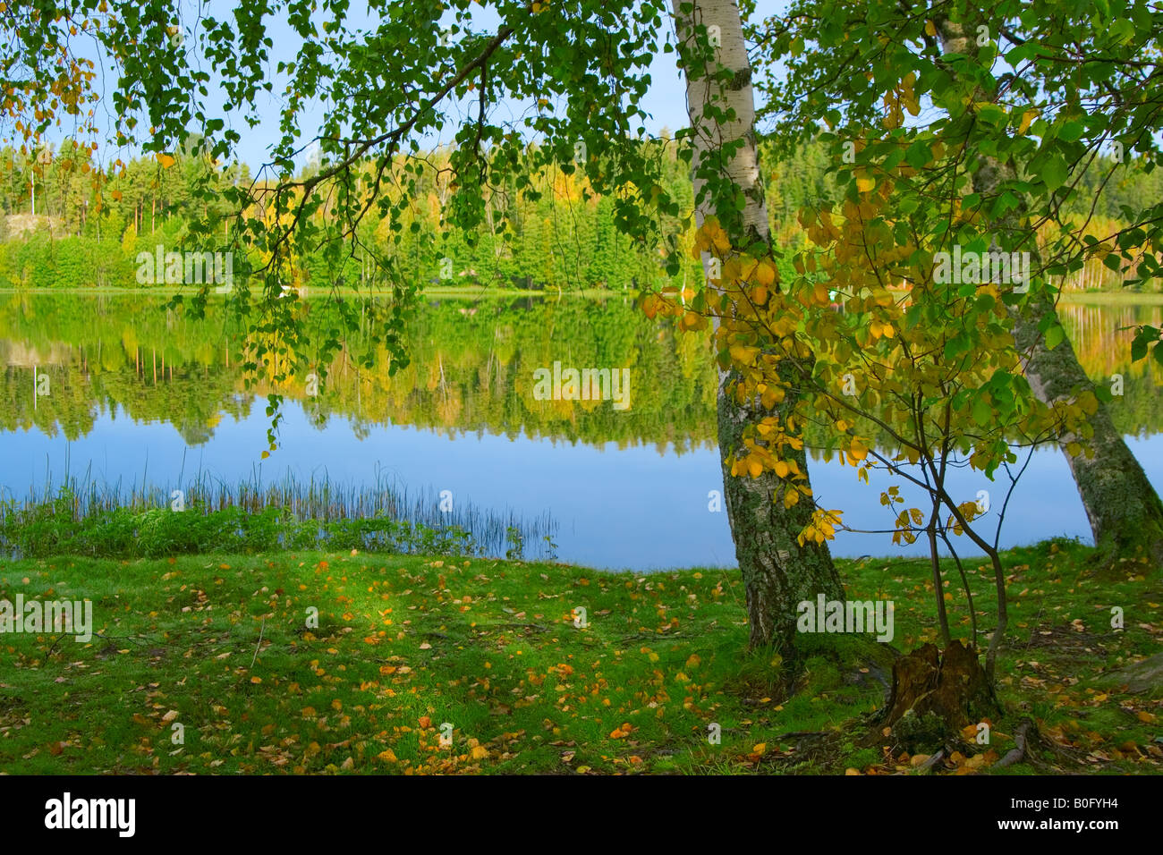 The shore of lake Stock Photo - Alamy