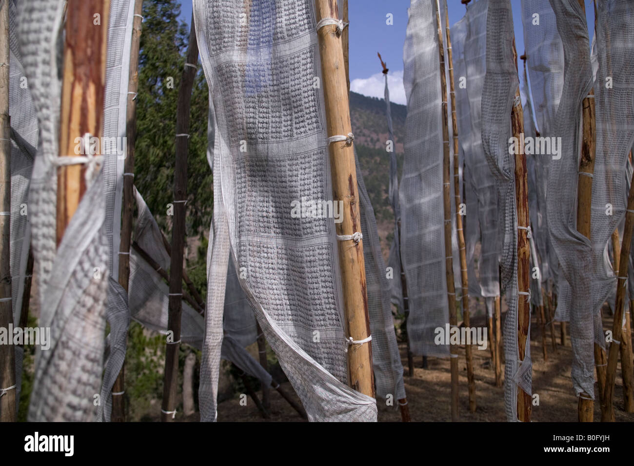 Prayer flags blowing in the wind Bhutan Stock Photo - Alamy