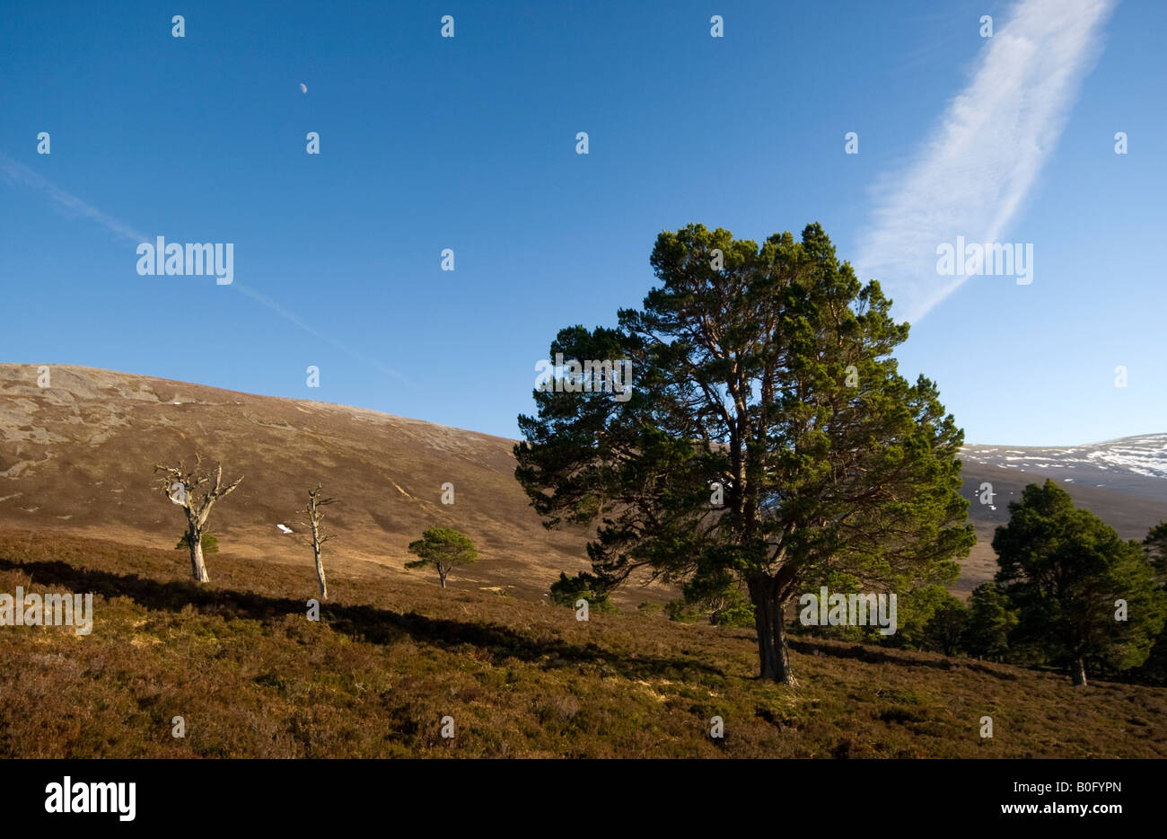 Invereshie hi-res stock photography and images - Alamy