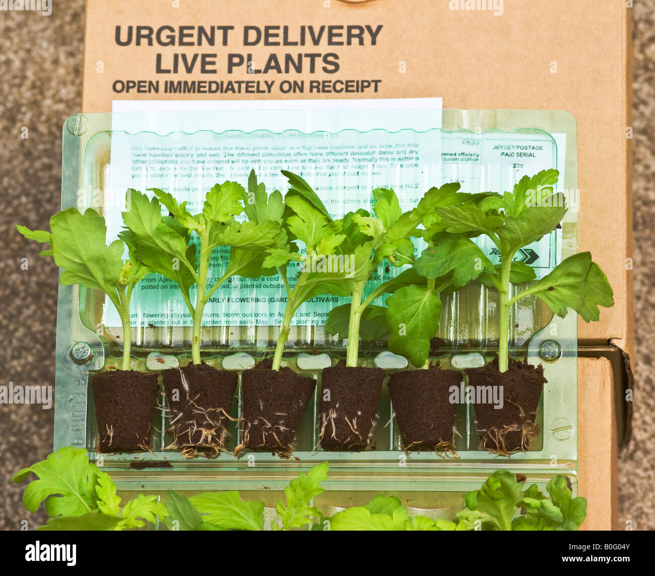Postal order uk hi-res stock photography and images - Alamy