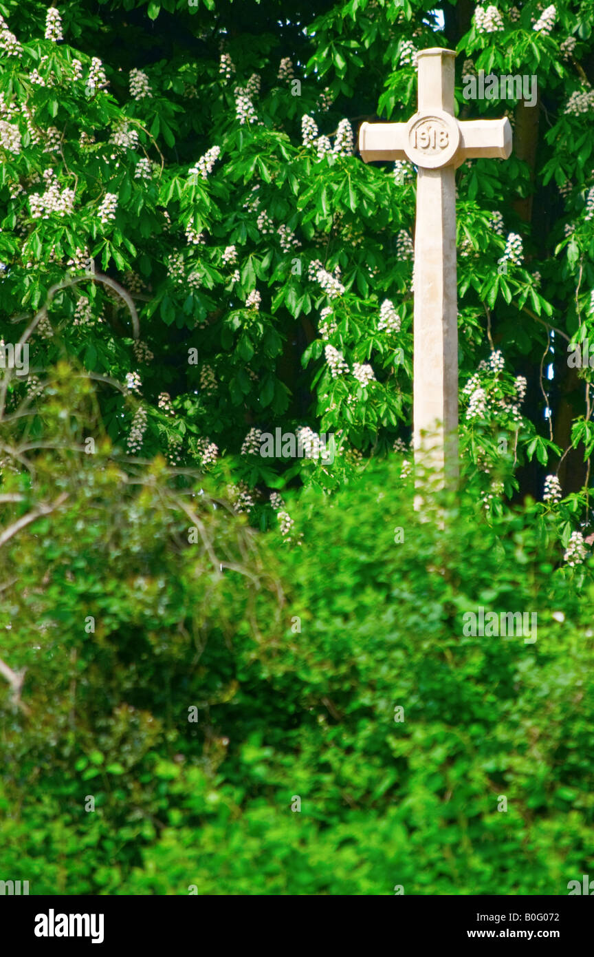 White 1918 stone cross hidden in trees, portrait photograph Stock Photo ...