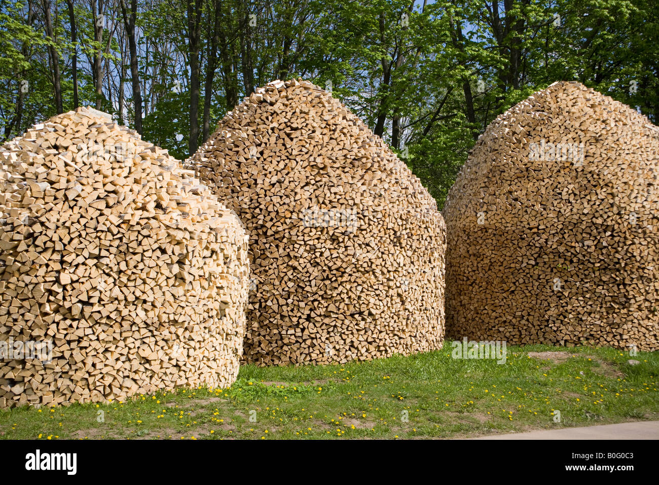 Huge log hi-res stock photography and images - Alamy