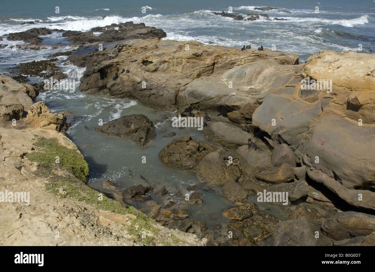 Maori point hi-res stock photography and images - Alamy