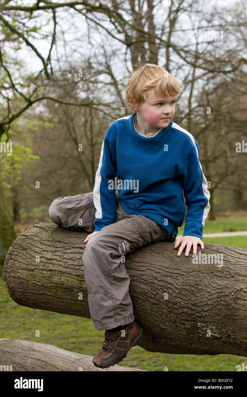 A young boy sitting on a tree Stock Photo - Alamy