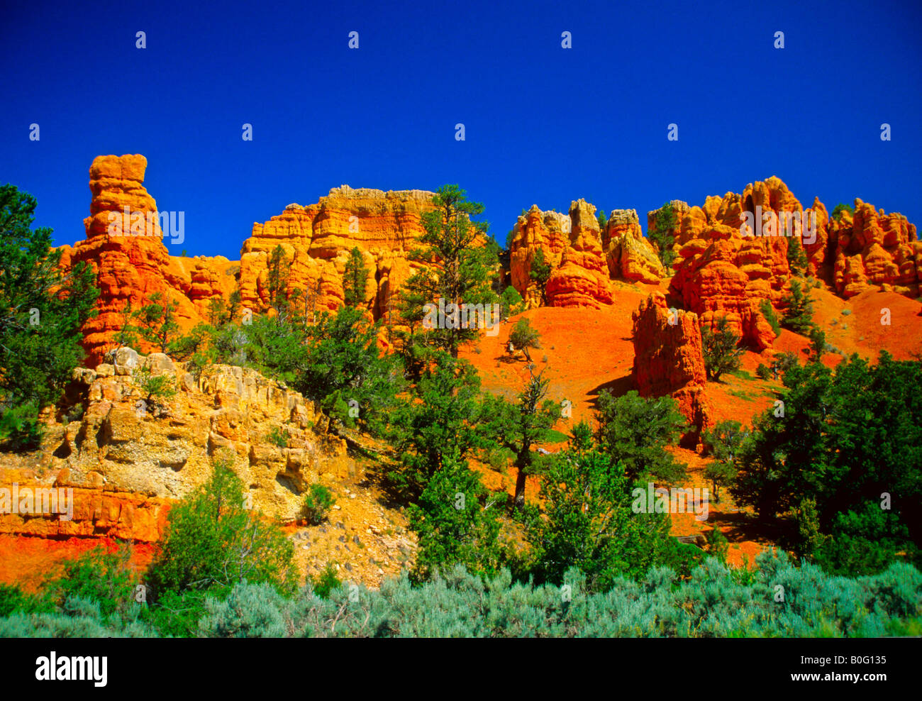 Columns, pinnacles, pillars of Capitol Reef National Monument, ridge ...