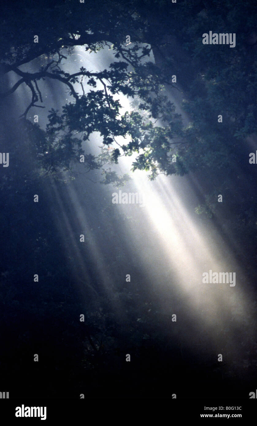 Ray of light Stock Photo - Alamy