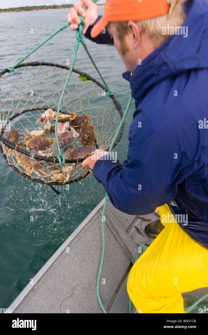 Recreational crab potting hi-res stock photography and images - Alamy