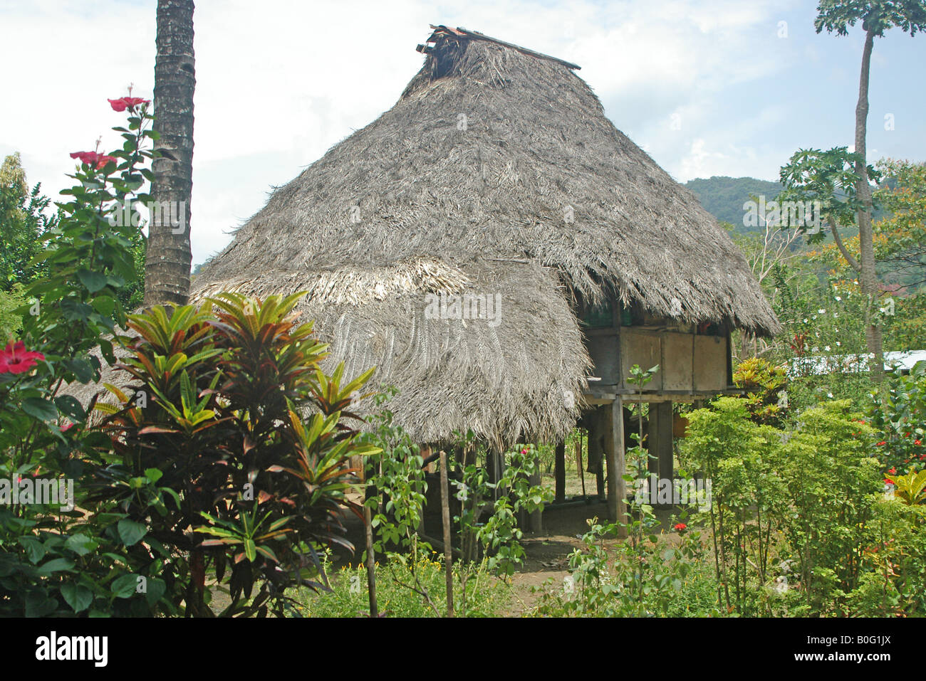 Emberá house P7672 Stock Photo - Alamy
