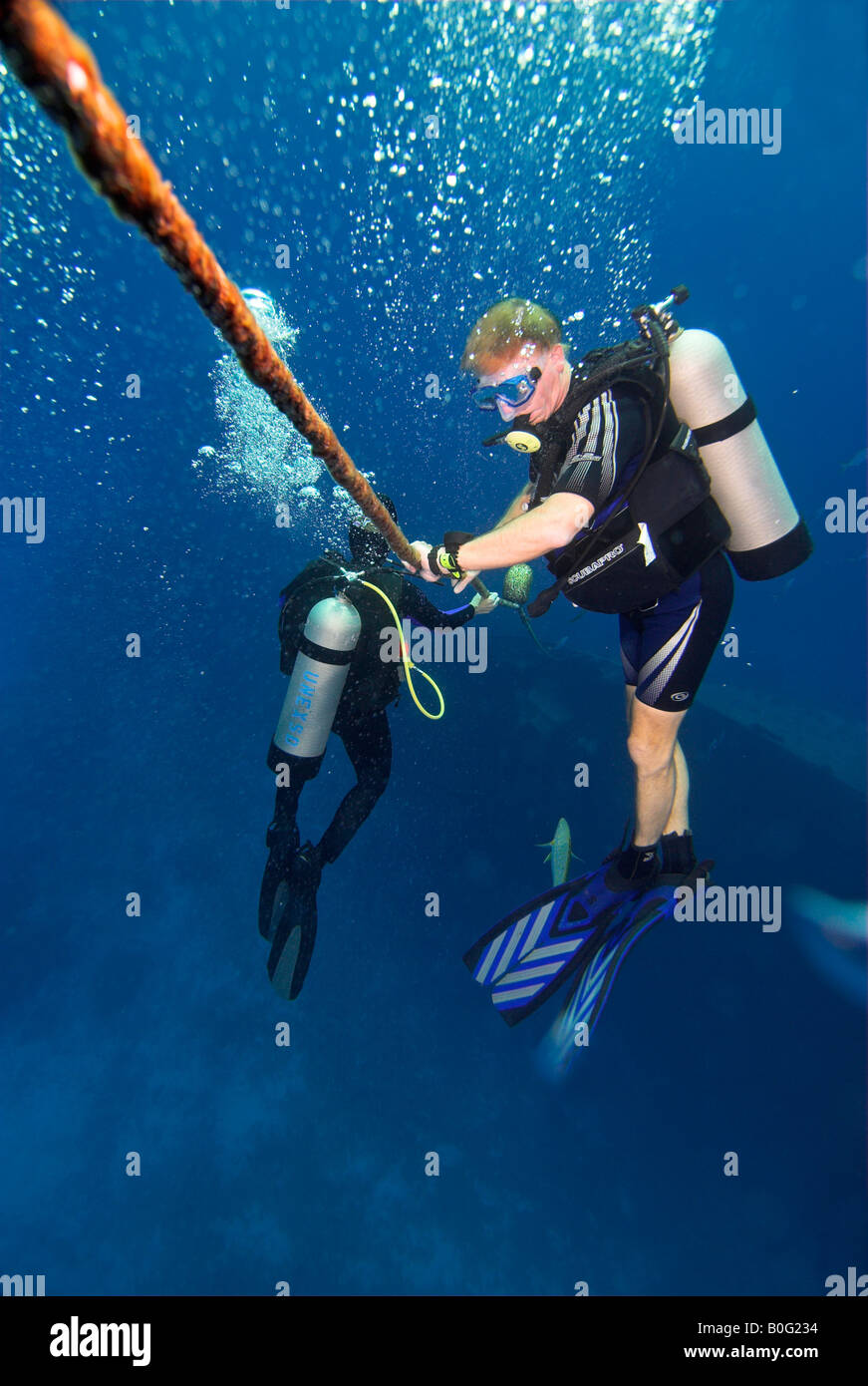 Divers ascending line from the Theos shipwreck Grand Bahamas Island ...