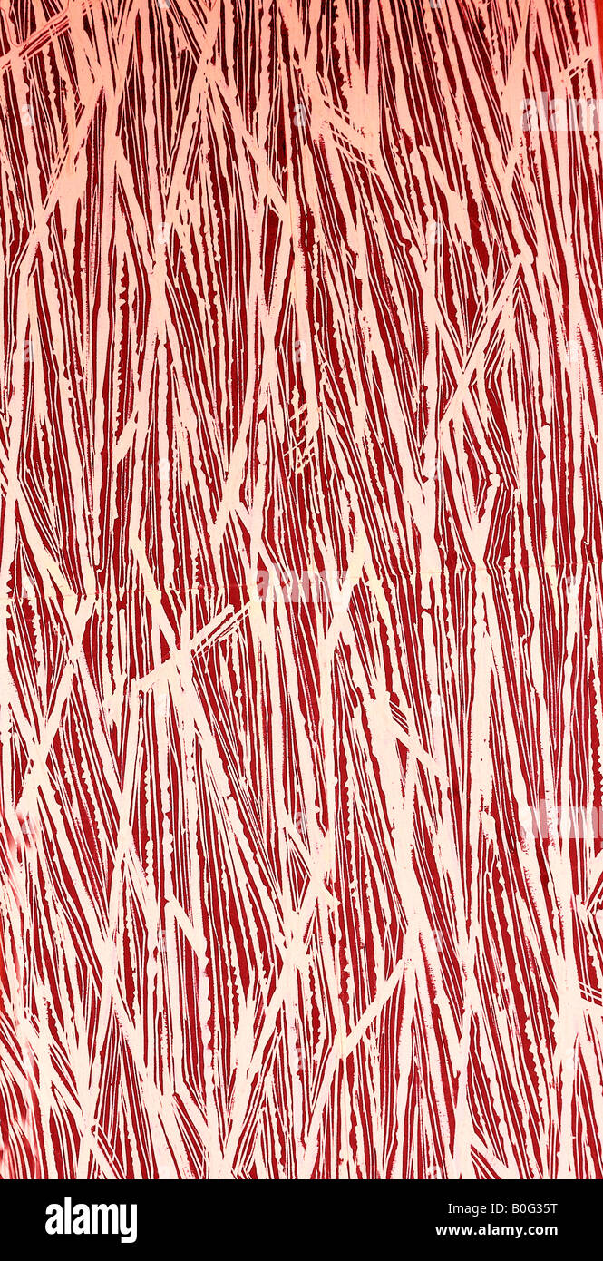 Red colourway hi-res stock photography and images - Alamy