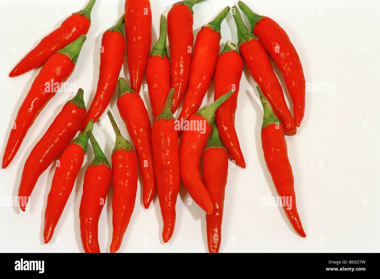 Red chilli peppers Stock Photo - Alamy