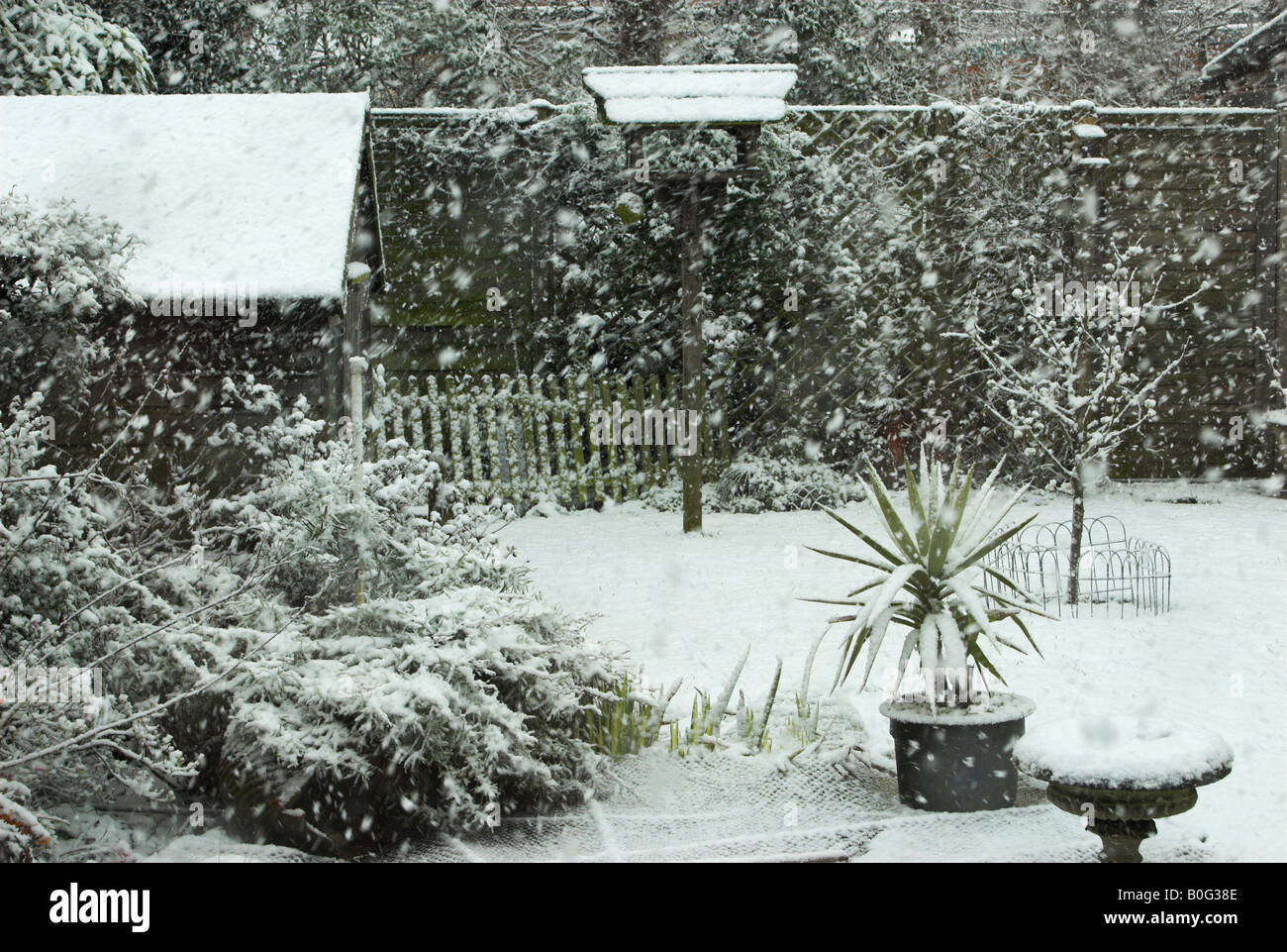 Heavy snow in a suburban garden Stock Photo - Alamy