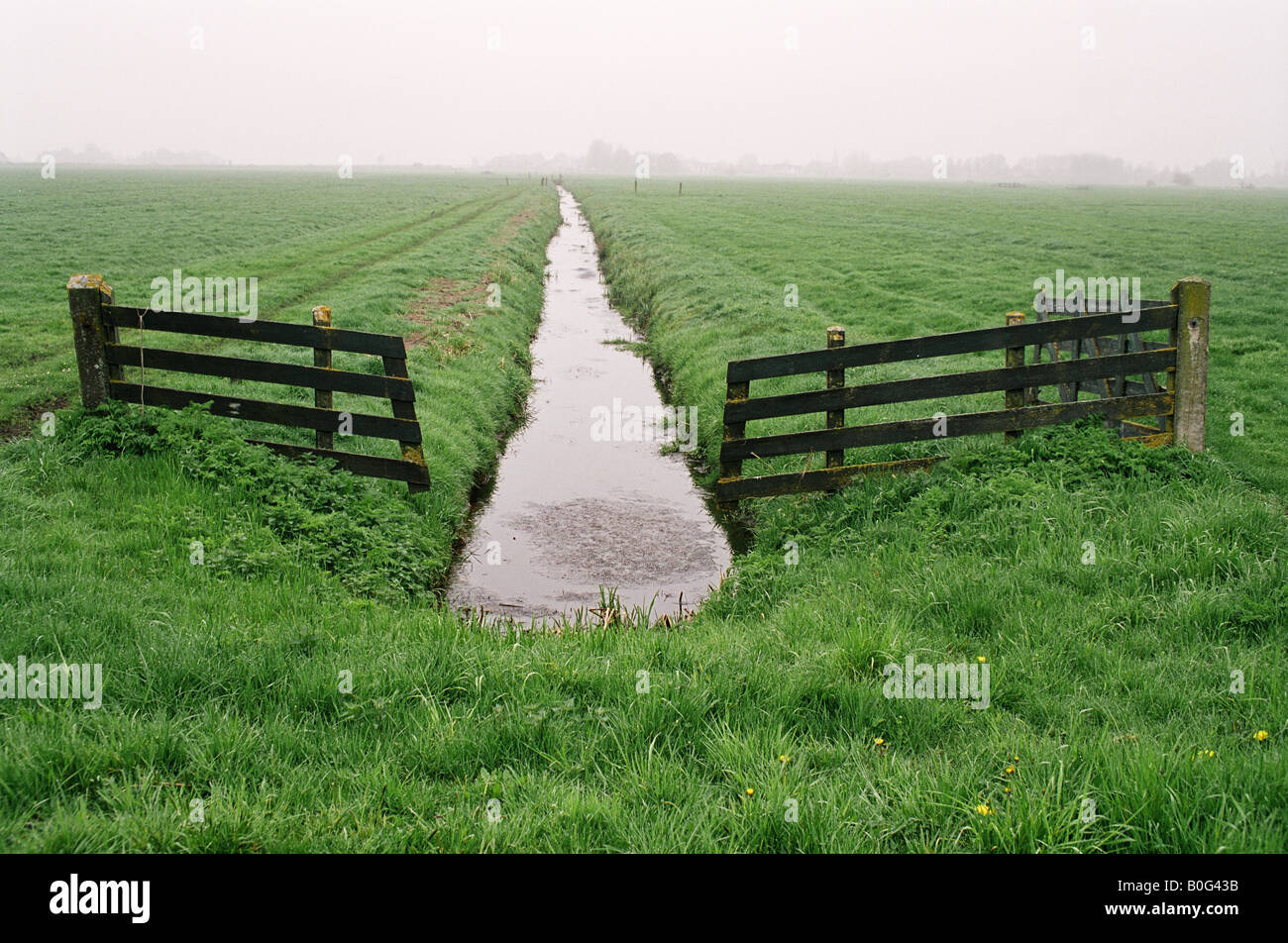 Small canal in Friesland Stock Photo - Alamy