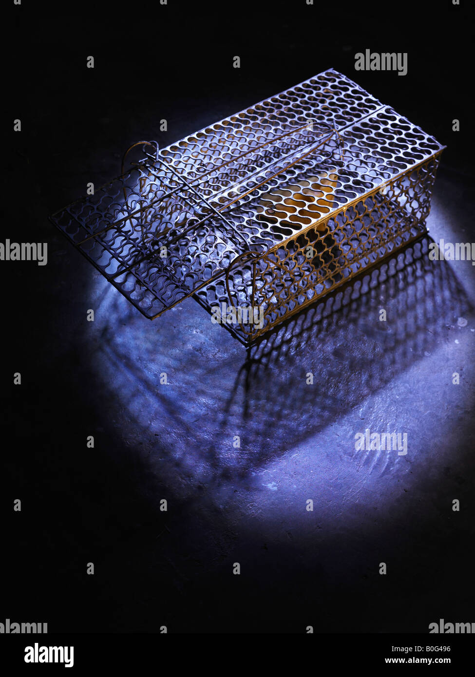 High angle view of mouse trap Stock Photo - Alamy