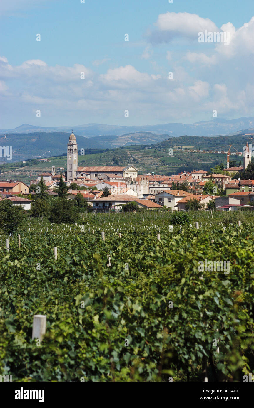 Veneto vineyards soave hi-res stock photography and images - Alamy