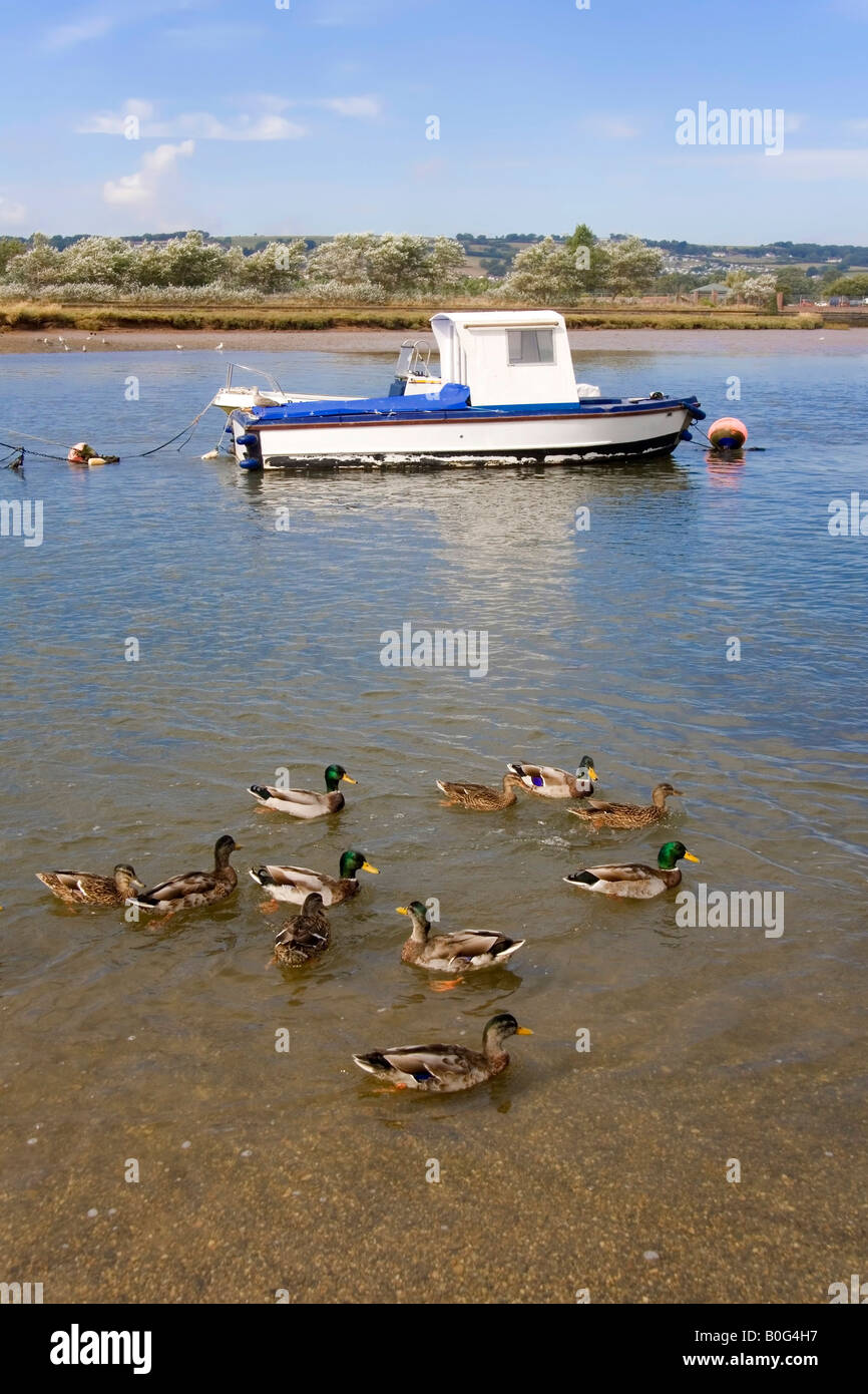 The river axe at seaton devon Stock Photo - Alamy