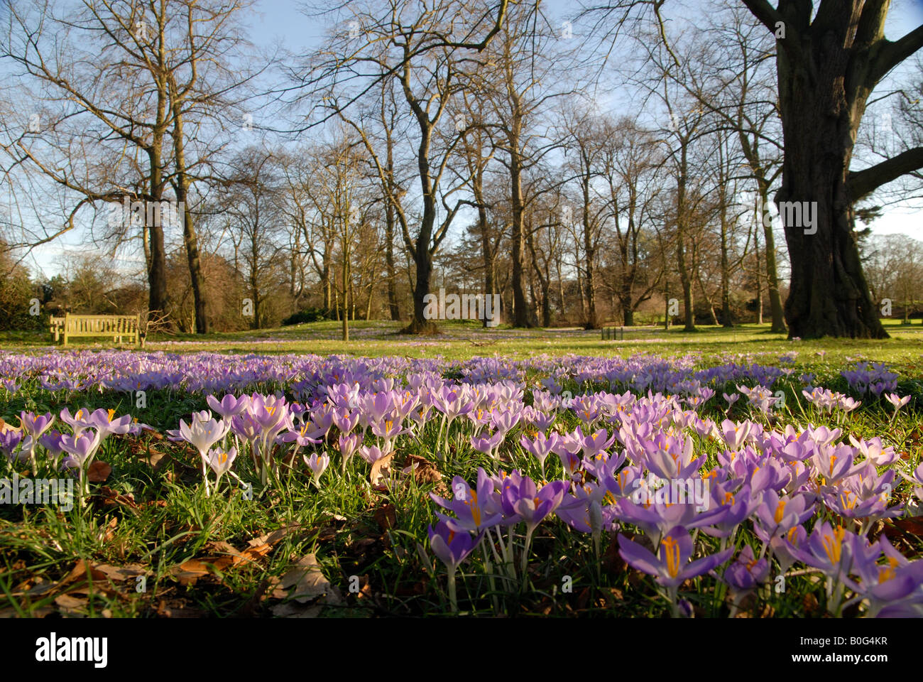Kew gardens spring hi-res stock photography and images - Alamy