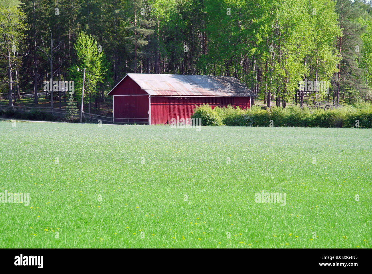 Beautiful stable on a meadow Stock Photo - Alamy