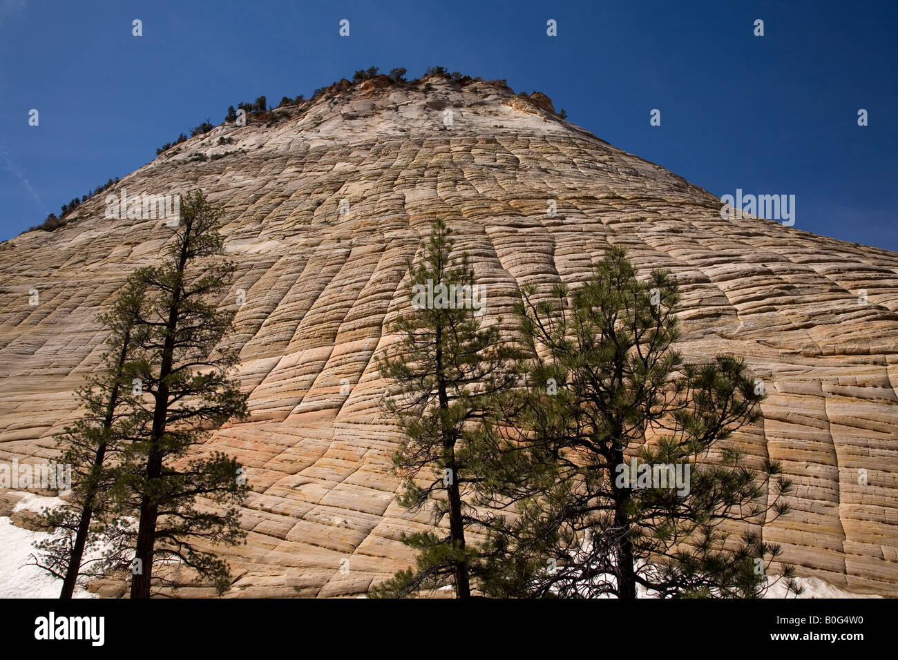 Zion mesa with tree hi-res stock photography and images - Alamy