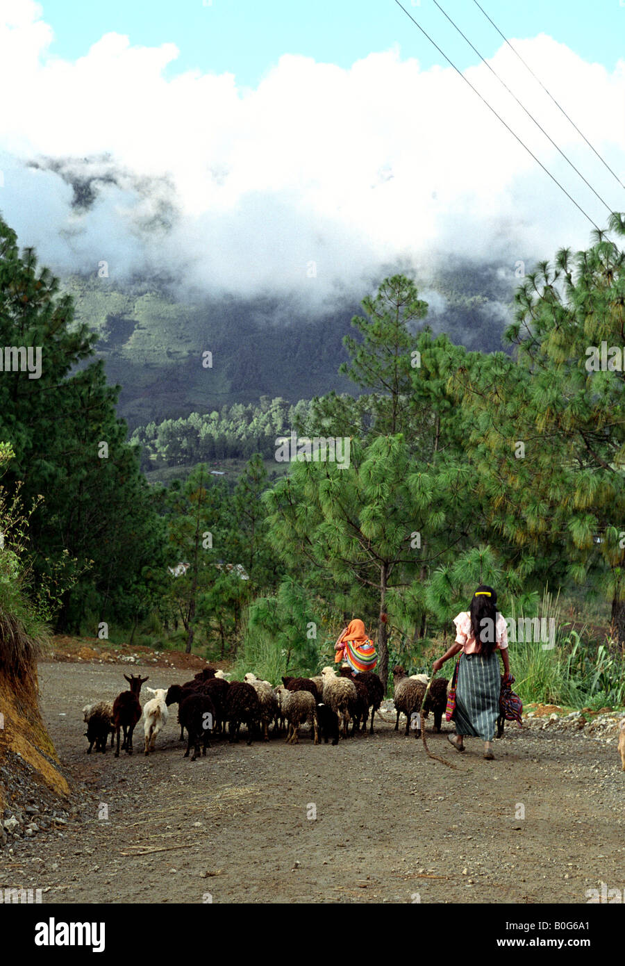 Mayan girl herding goats hi-res stock photography and images - Alamy