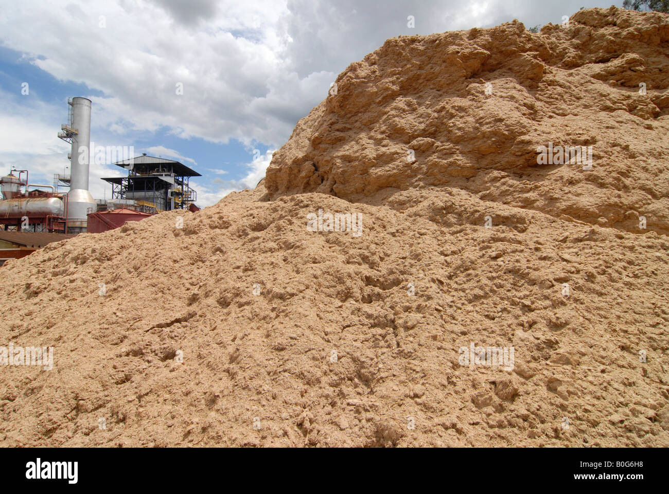 Sugarcane leftovers pile at Pitangueiras sugar and ethanol plant in the ...