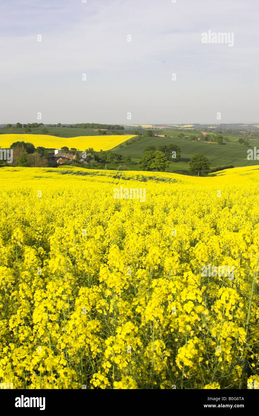 English countryside in spring Stock Photo - Alamy