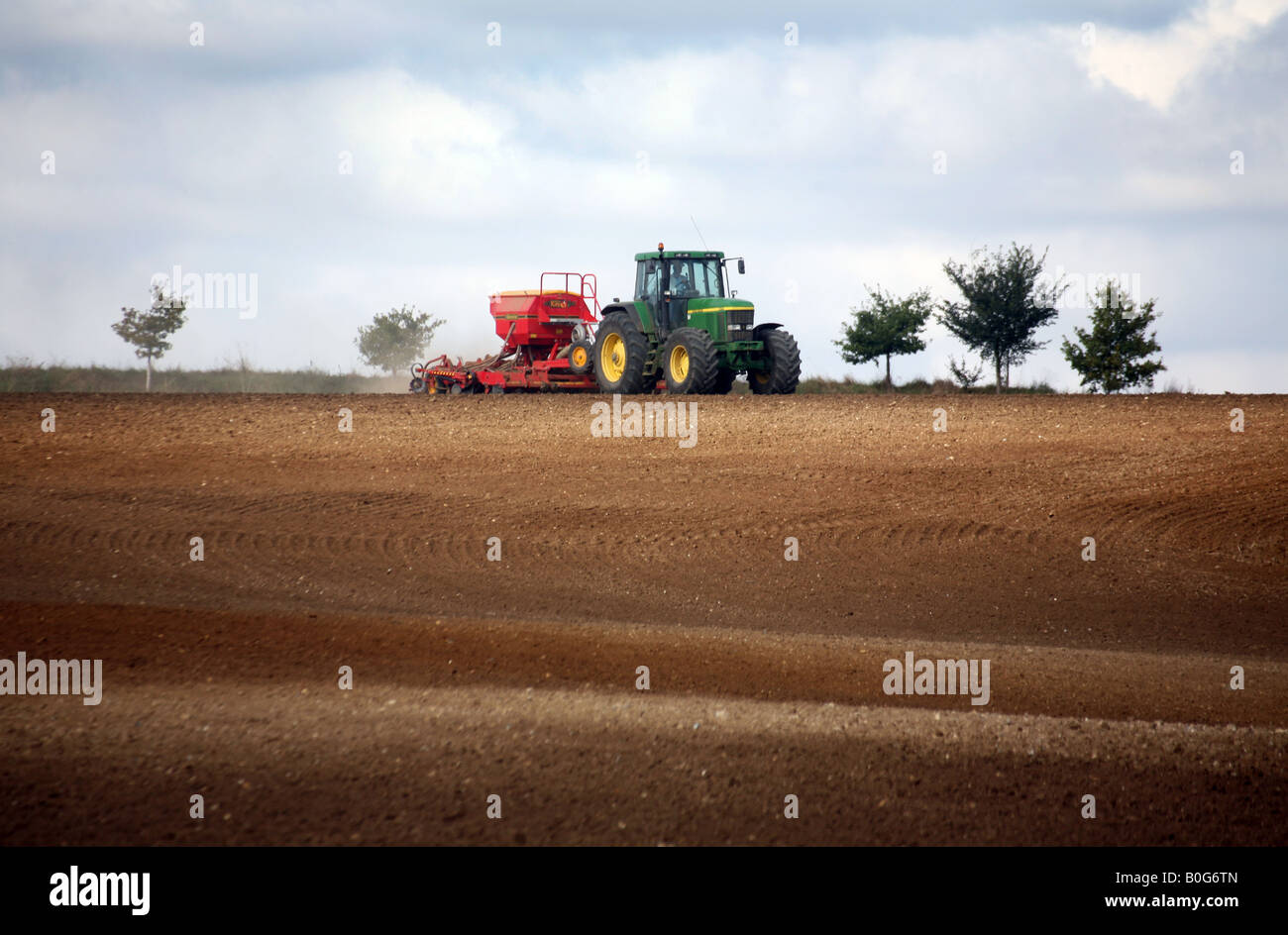 Tractor planting winter crop in Clare suffolk Stock Photo - Alamy