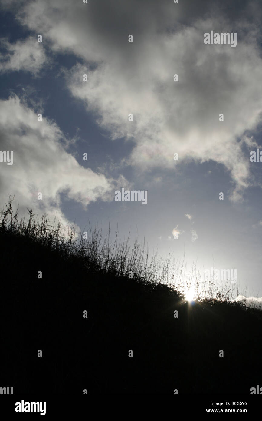field silhouette in countryside at sunset Stock Photo - Alamy