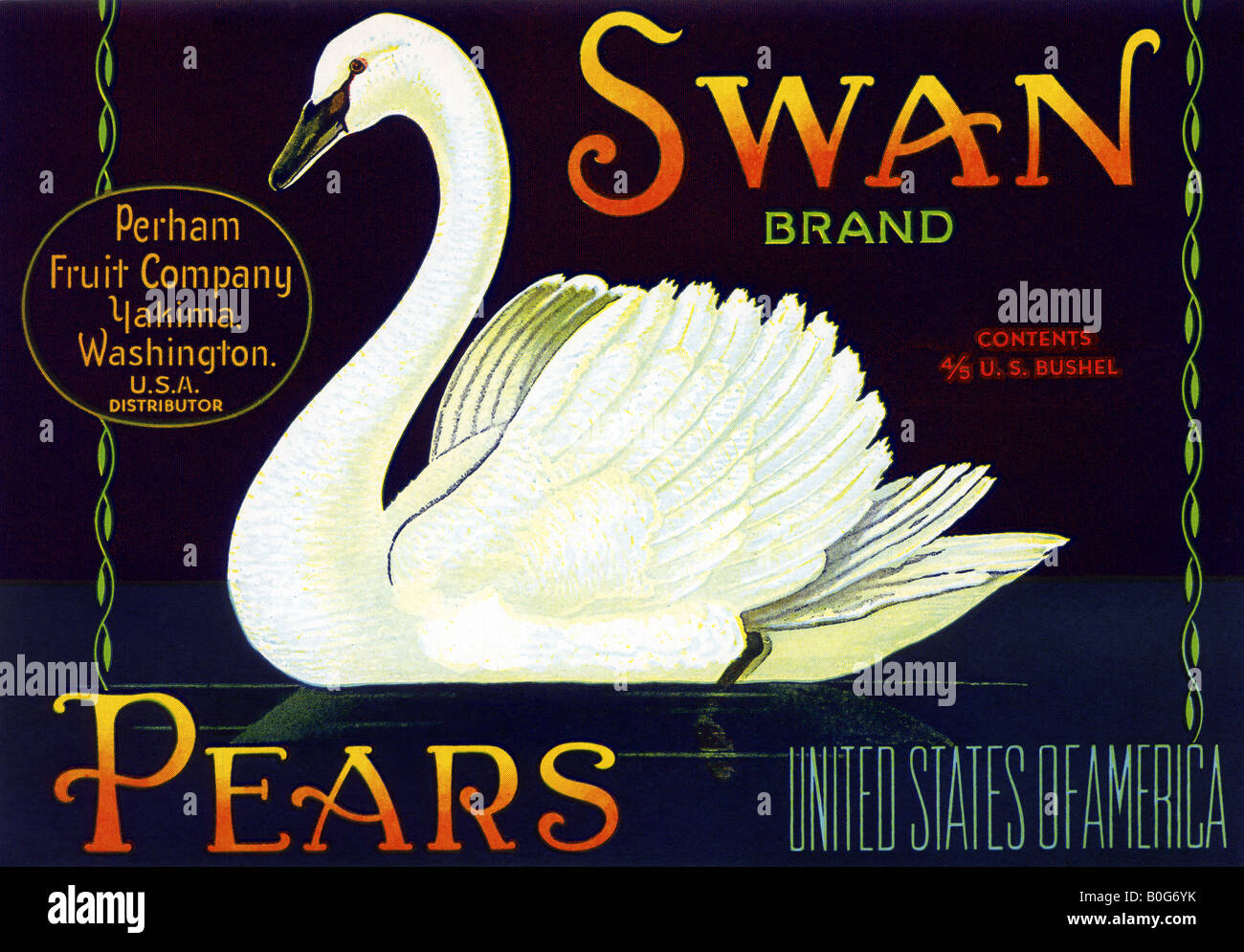 Swan Brand Pears Stock Photo - Alamy