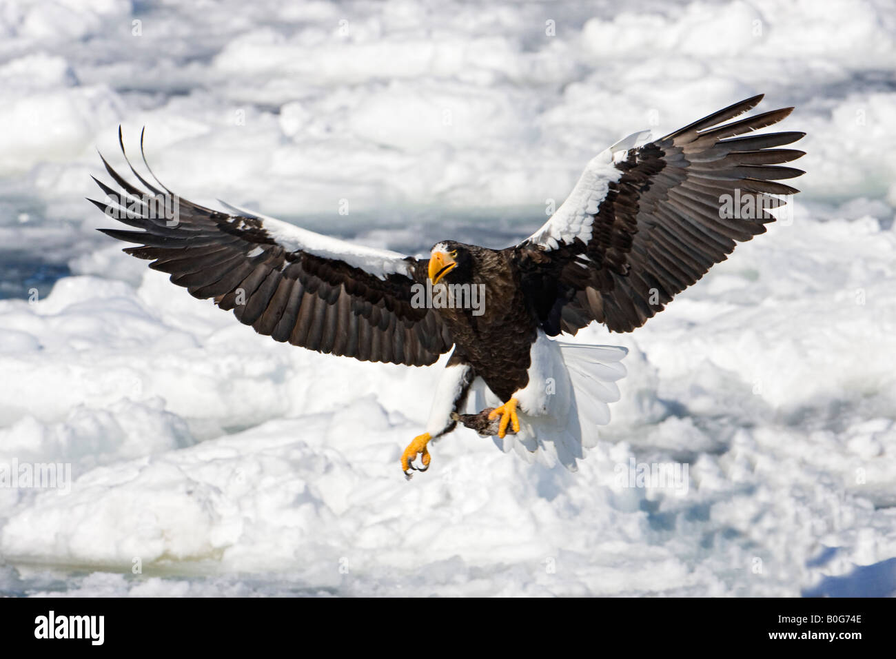 Nemuro strait hi-res stock photography and images - Alamy