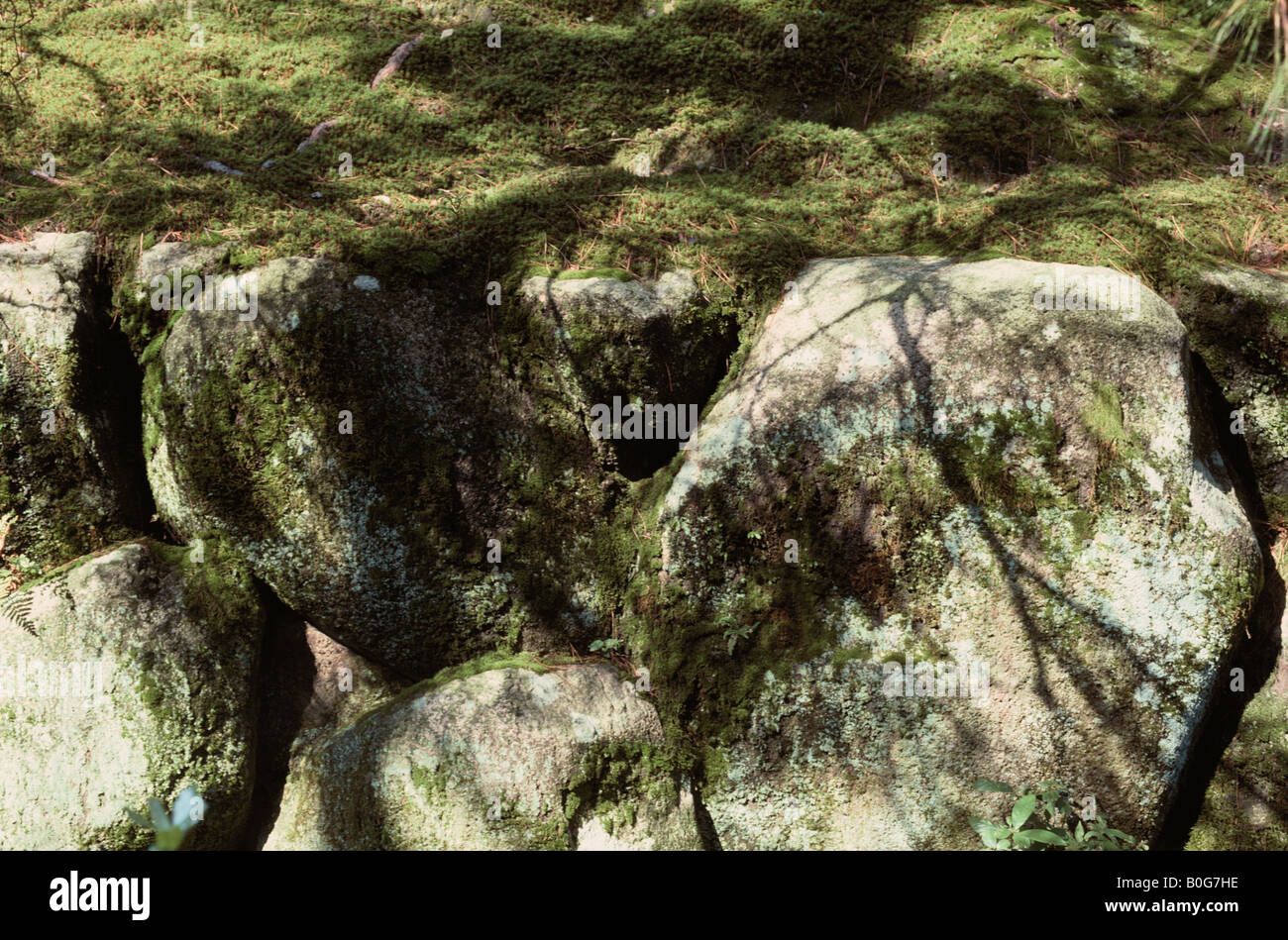 Mosses On Rocks Stock Photo - Alamy