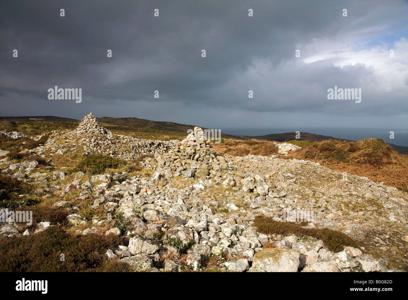 Rosewall hi-res stock photography and images - Alamy